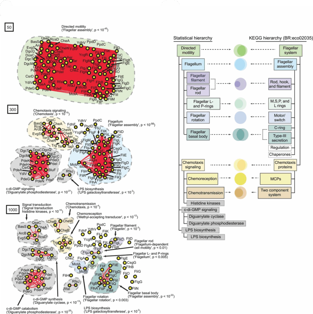 Defining hierarchical protein interaction networks from spectral ...